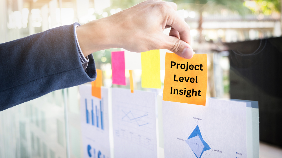 Project Level Insight - Meinhardt E-Learning